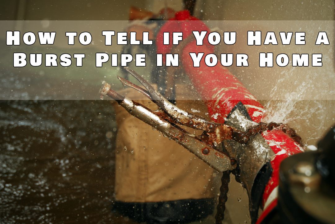 How to Tell if You Have a Burst Pipe in Your Home